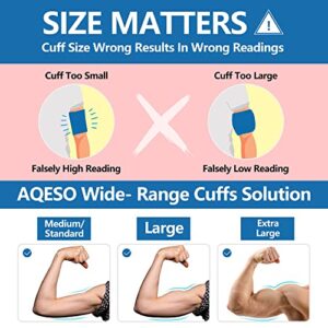 Should You Choose the AQESO U80B Blood Pressure Monitor? Detailed ...